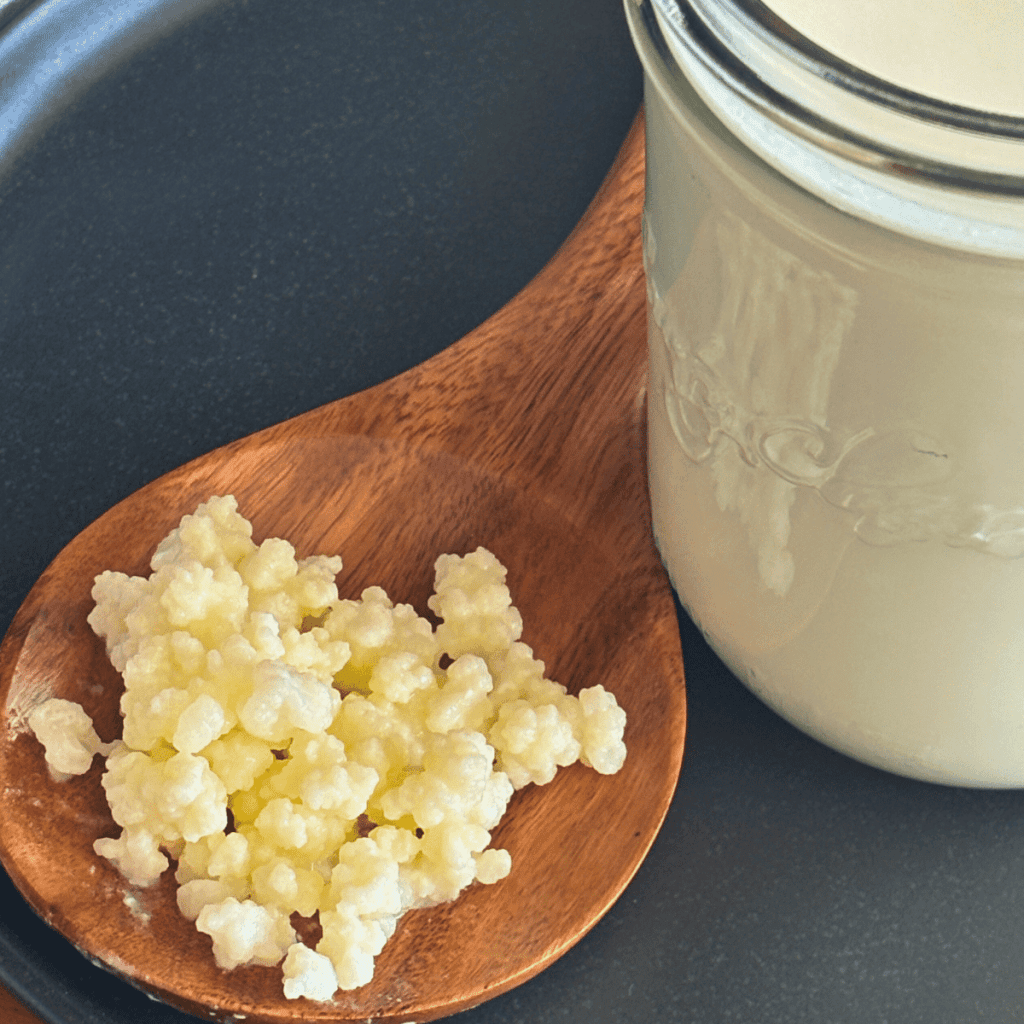 How to Make Milk Kefir - Grinding Gears Farmstead